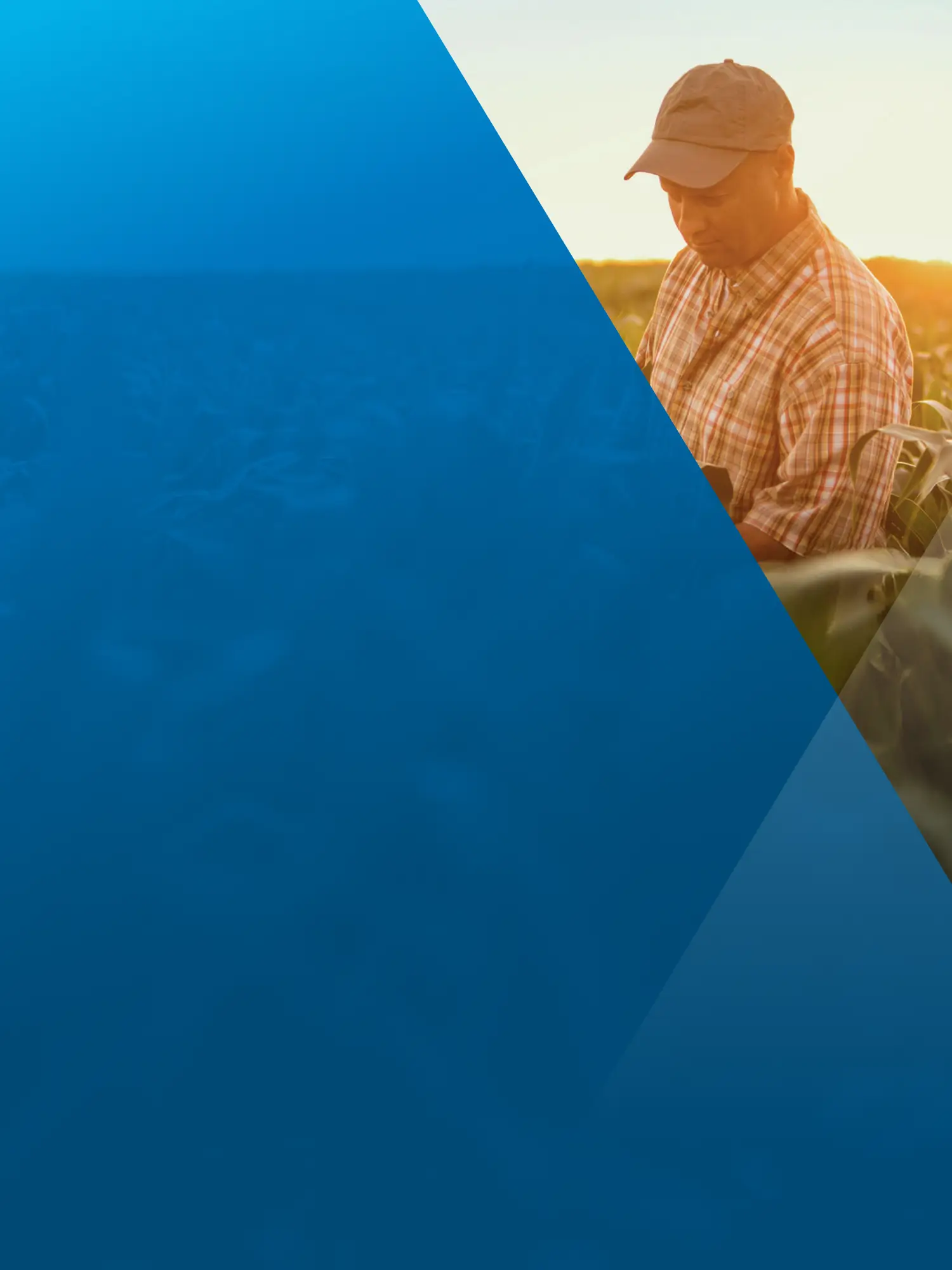 Koch Fertilizer Logo